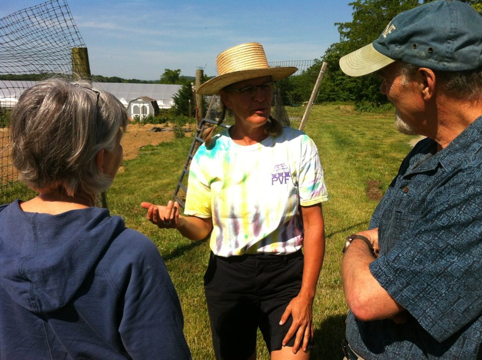 Farm Consulting – Plant To Profit