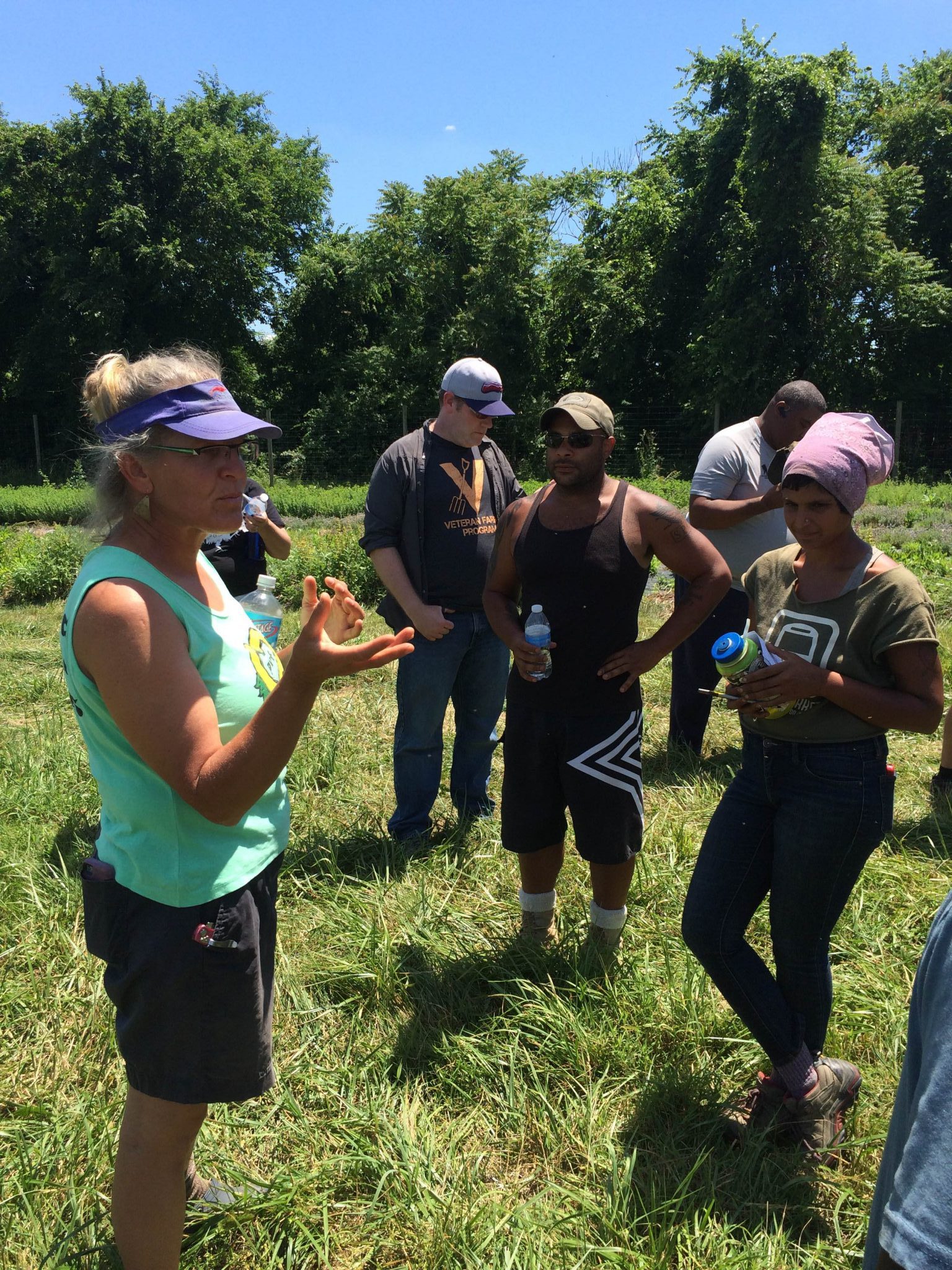 Farm Consulting – Plant To Profit