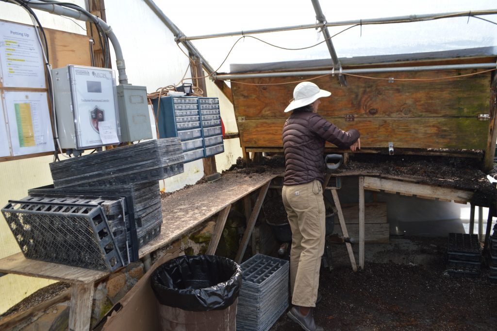 Radical Roots Farm – Plant To Profit