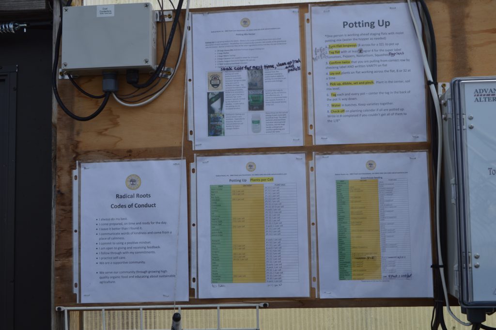 Radical Roots Farm – Plant To Profit