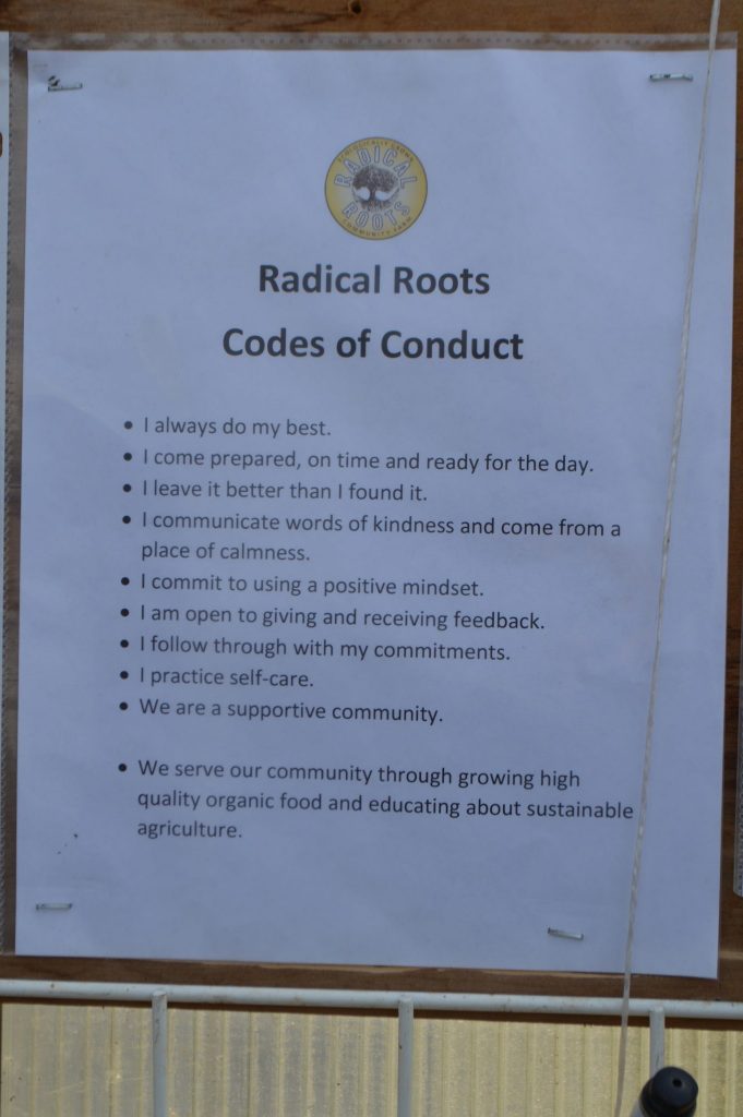 Radical Roots Farm – Plant To Profit