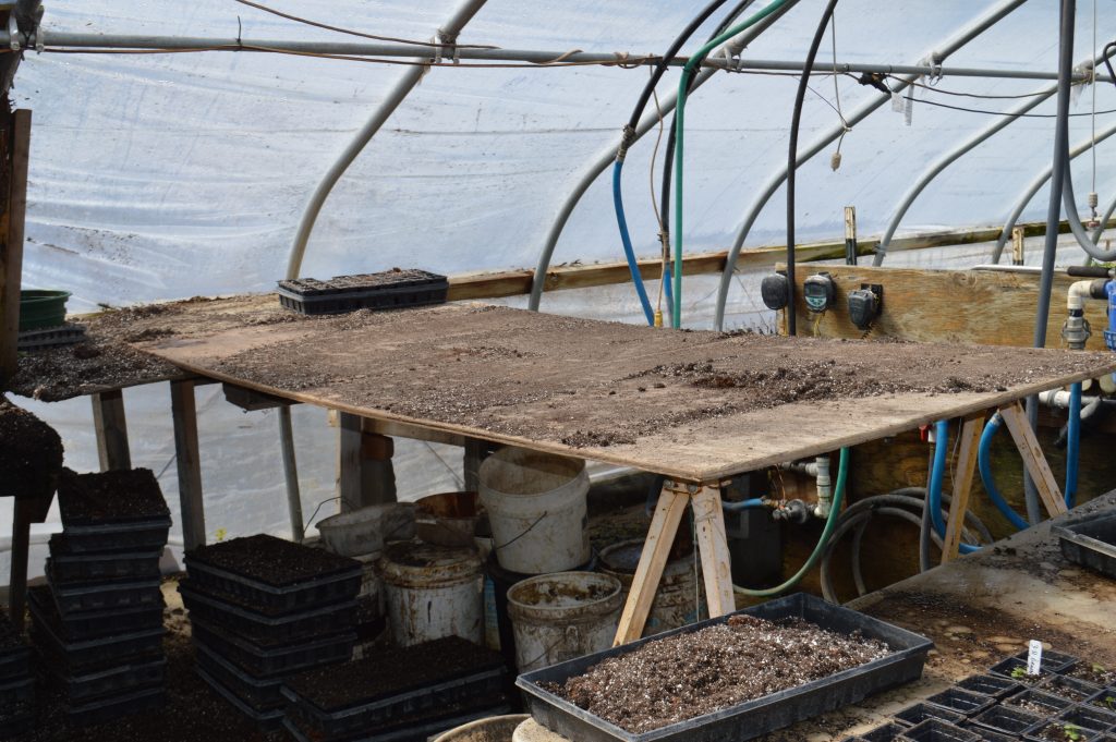 Radical Roots Farm – Plant To Profit