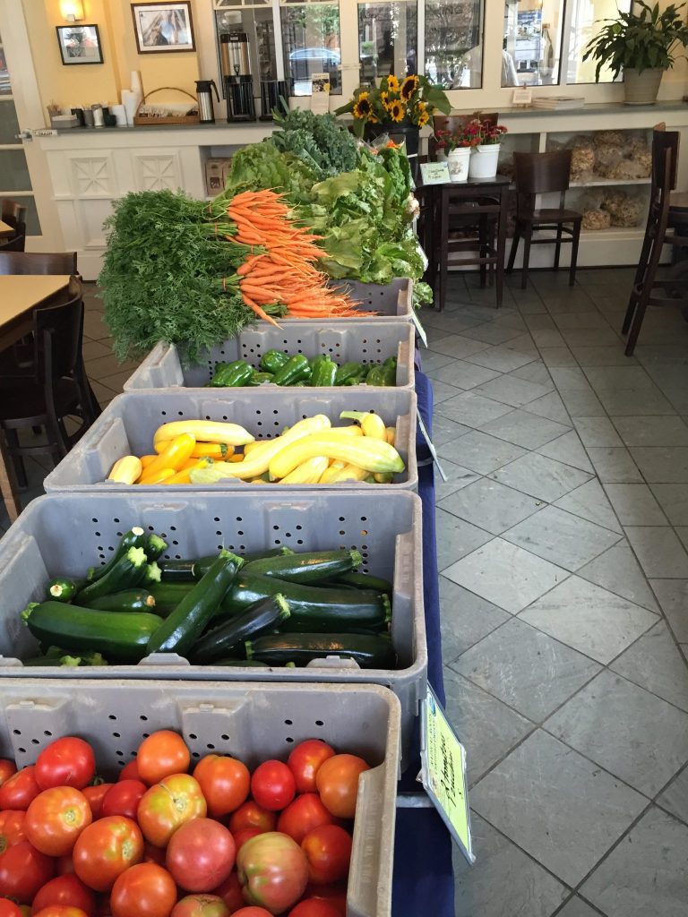 Radical Roots Farm – Plant To Profit