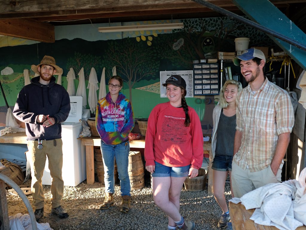 Radical Roots Farm – Plant To Profit