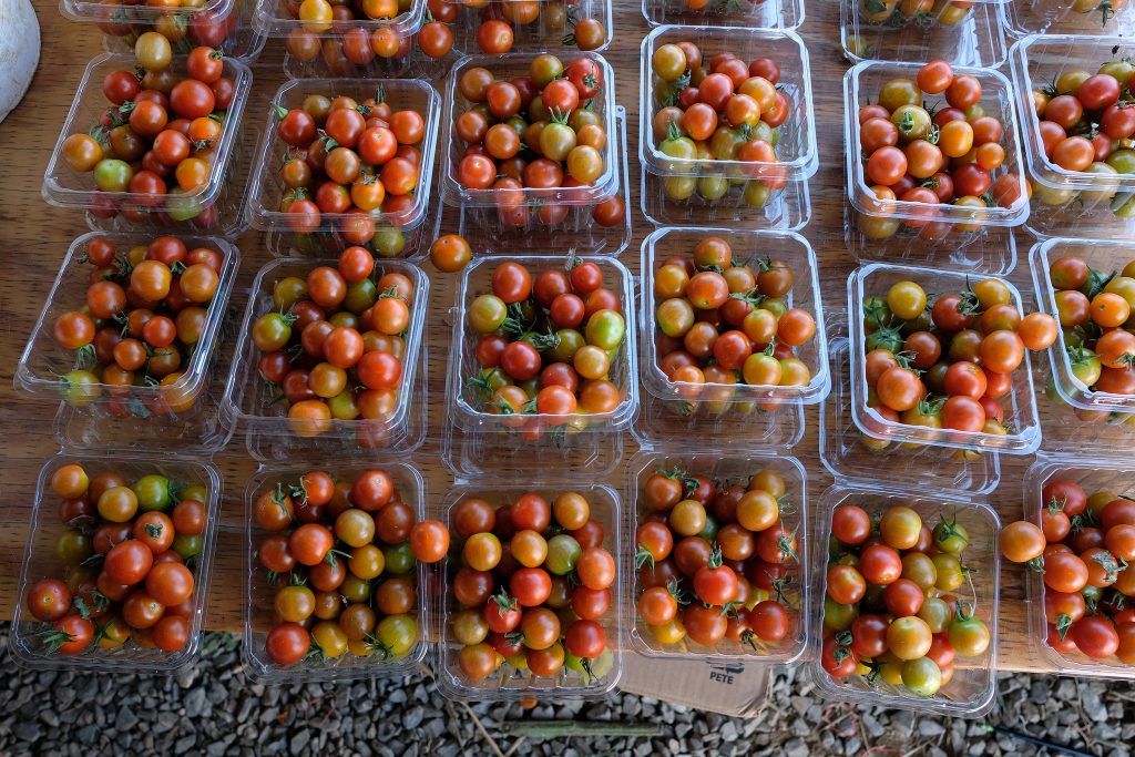 Radical Roots Farm – Plant To Profit