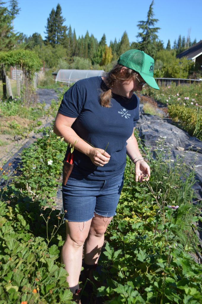 B-Side Farm, July 2019 – Plant To Profit