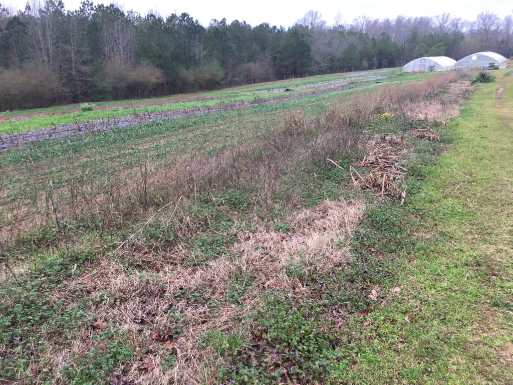 Rag & Frass Farm, February 2020 – Plant To Profit