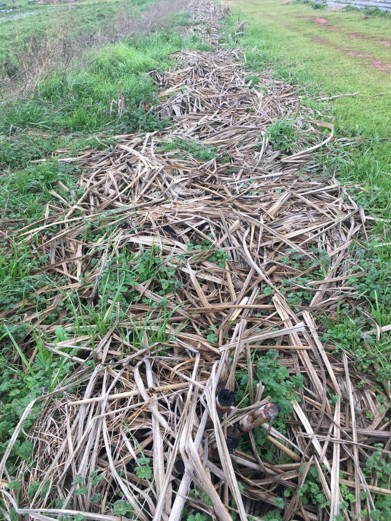 Rag & Frass Farm, February 2020 – Plant To Profit