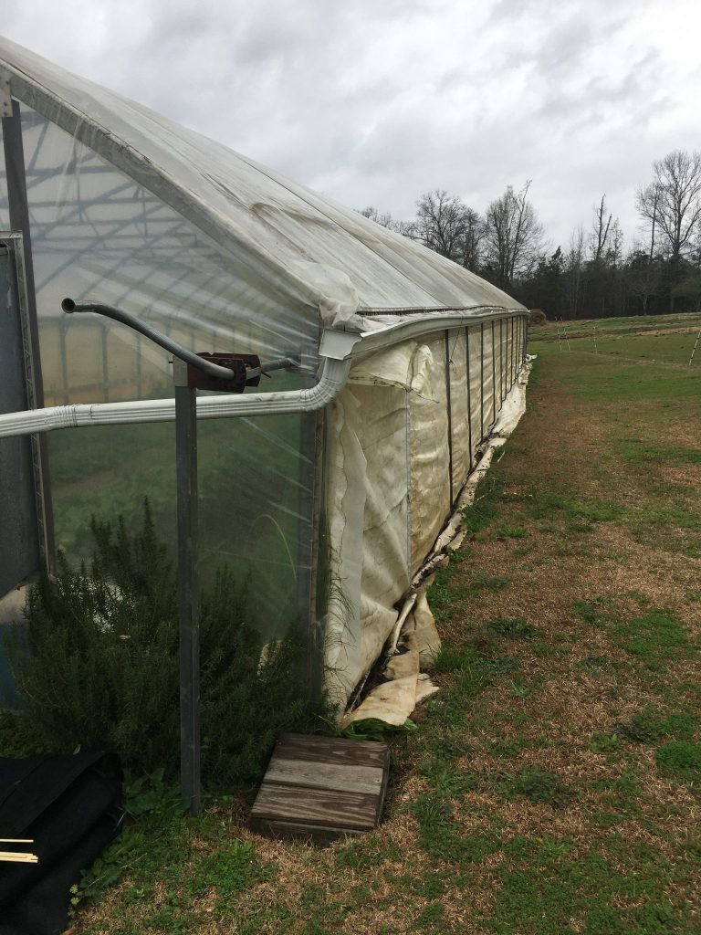 Rag & Frass Farm, February 2020 – Plant To Profit