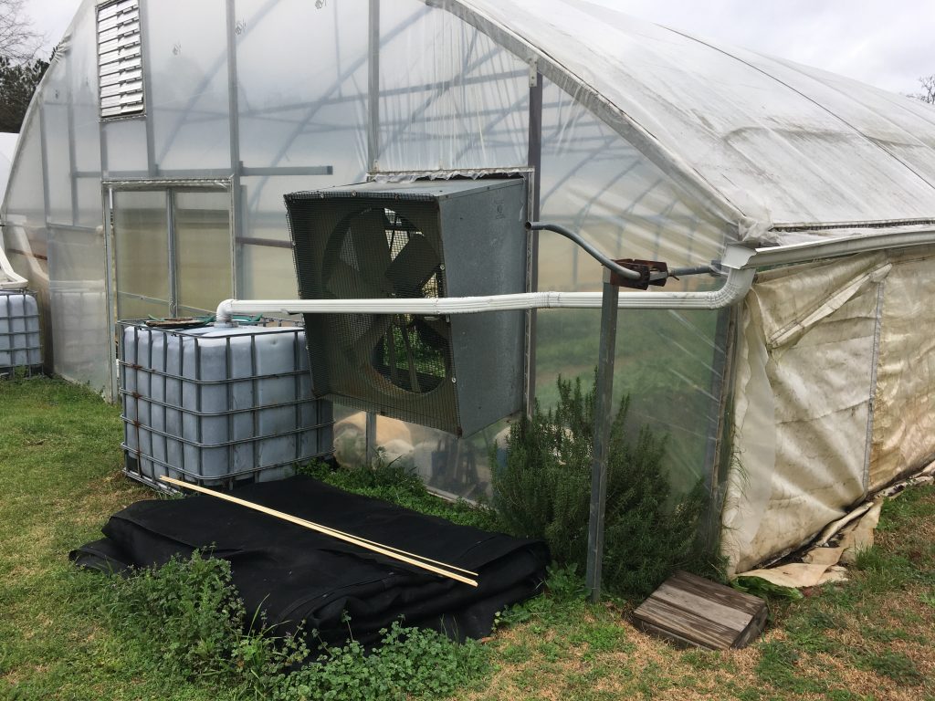 Rag & Frass Farm, February 2020 – Plant To Profit